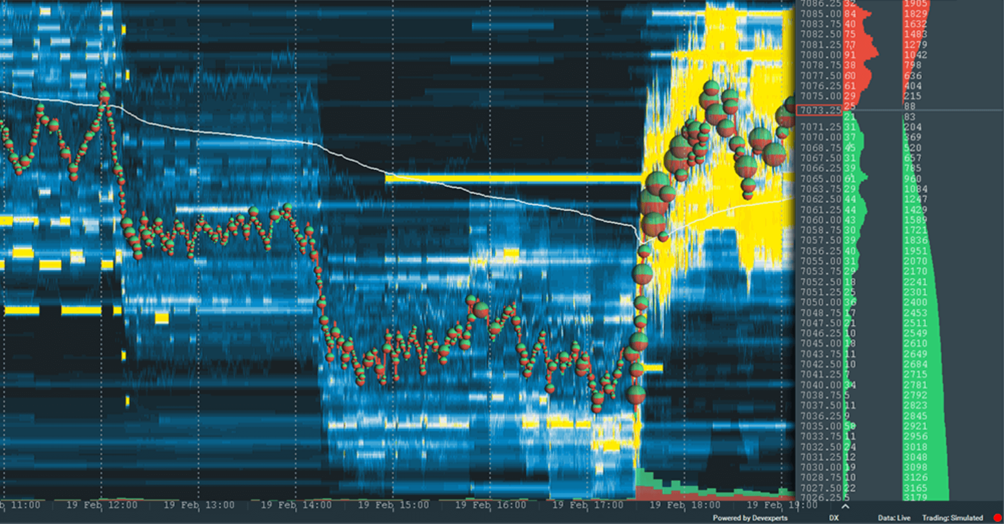 dxFeed Bookmap Product Description
